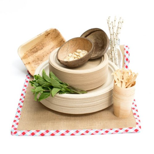 The Environmental Impact of Disposable Plates: A Comprehensive Analysis ...