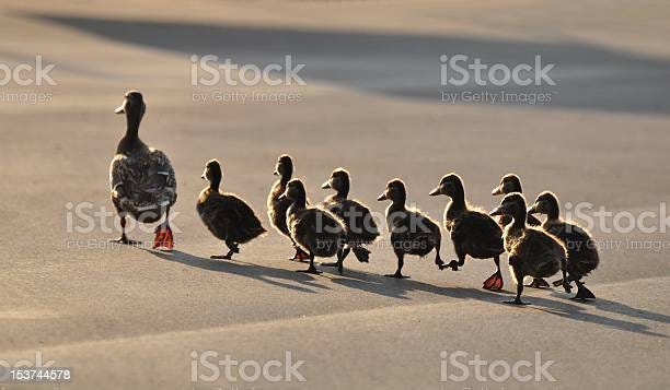 Very well-written. - Rimsha Munir - Medium