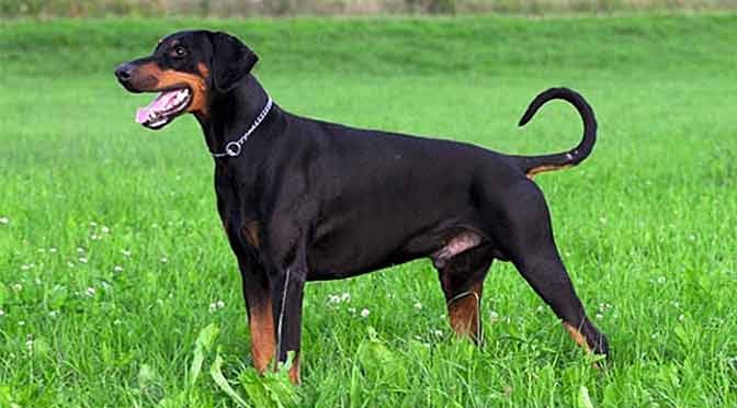 Solving Linear Equations Using Matrices And Python By Hdemo Magazines Team Hdemo Magazines