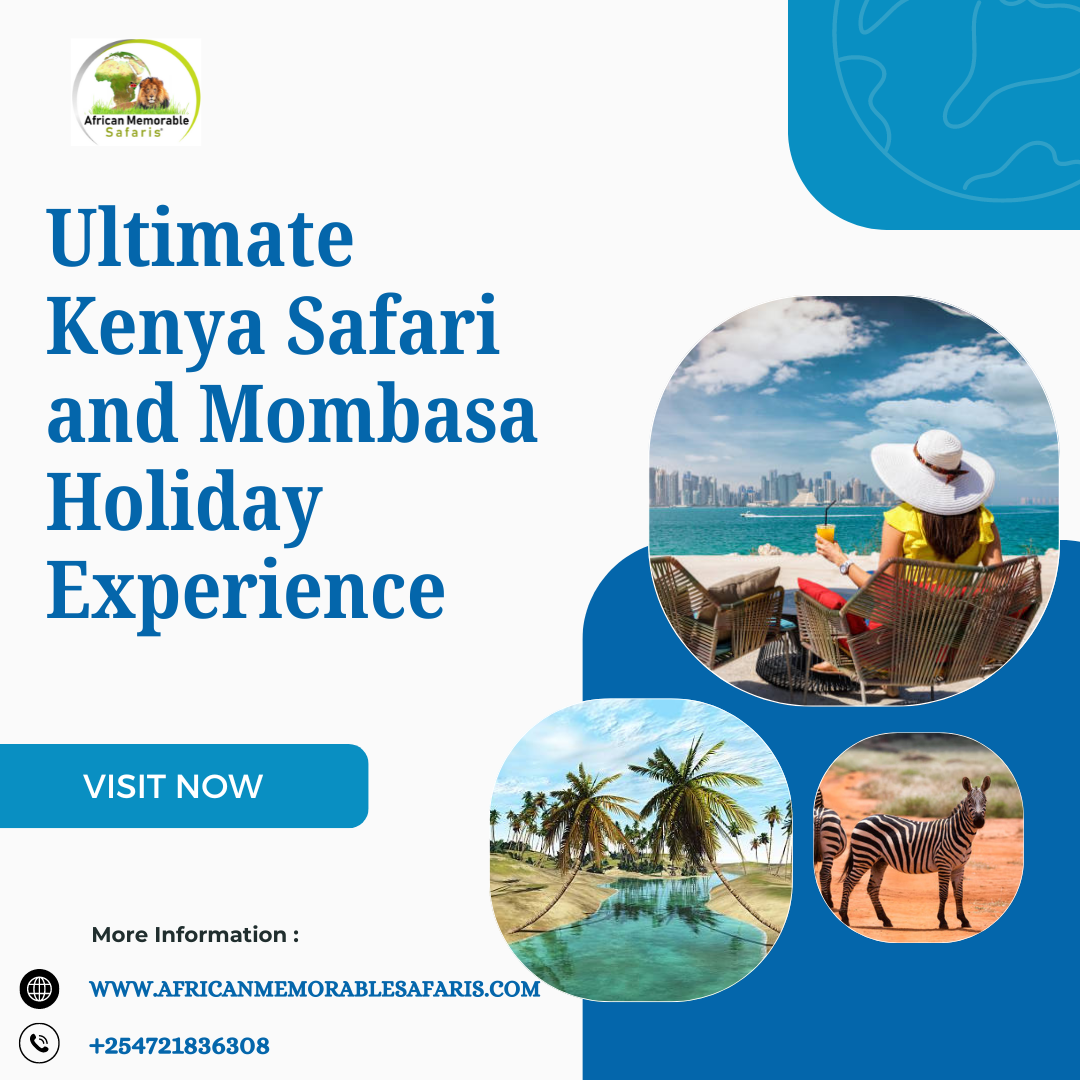Tips for a Successful Mombasa Safari Packages Experience - African ...
