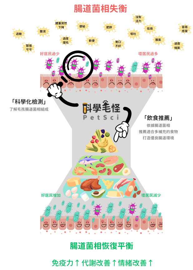 寵物基因檢測到底是什麼？ - 科學毛怪 PetSci - Medium