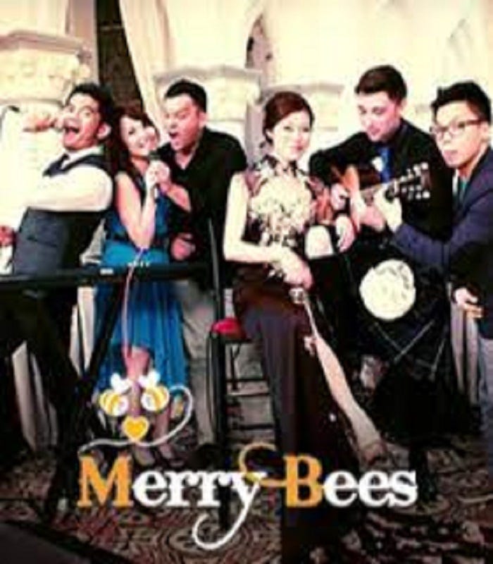 Best Wedding Emcee - MerryBees Music - Medium
