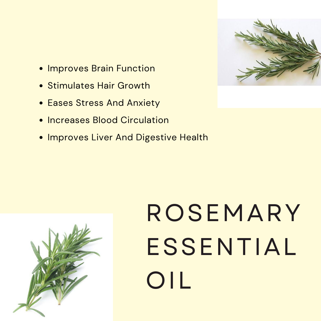 Rosemary Oil Benefits. Uses of Rosemary oil : | by Prasannas | Mar ...