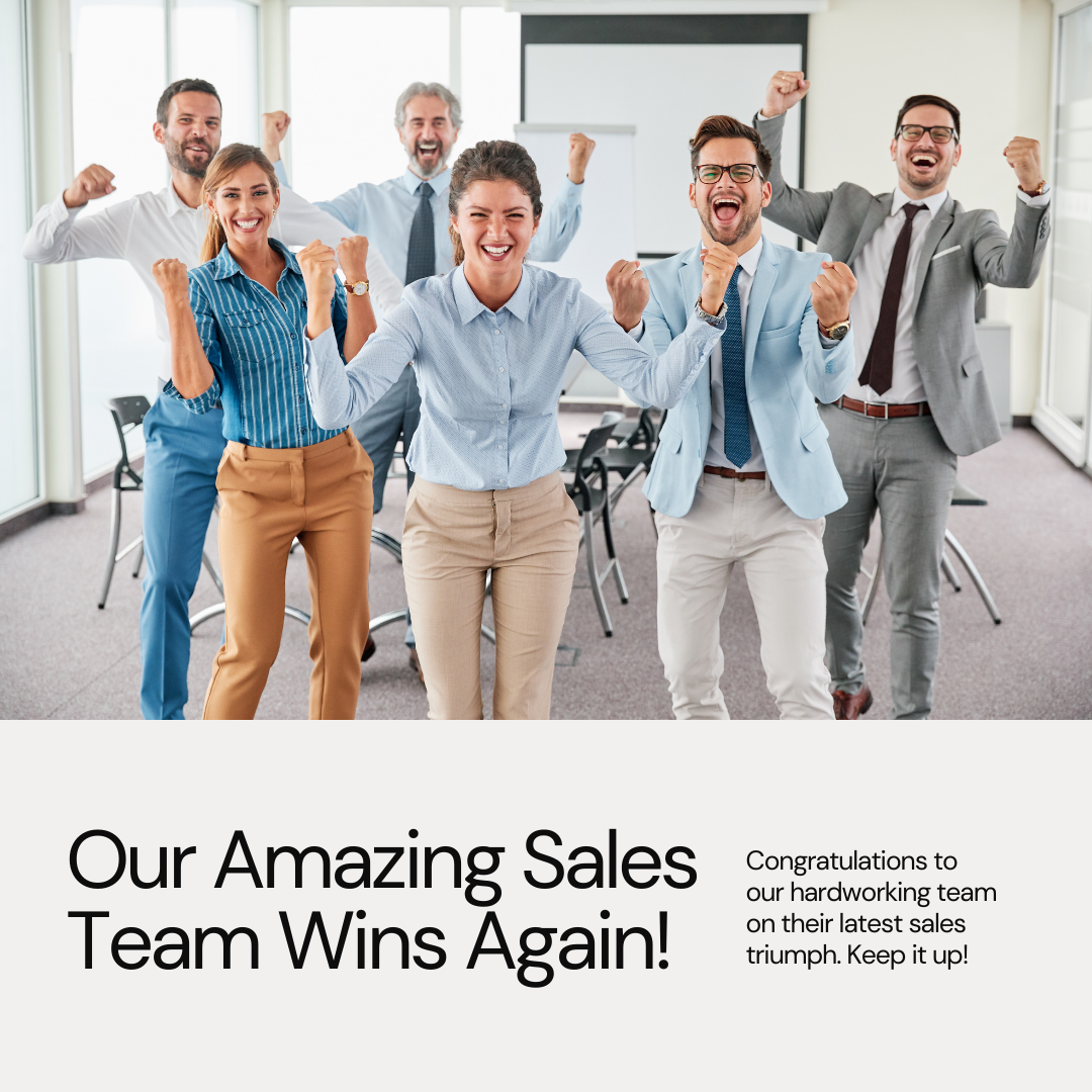 What is Business Analyst’s Master Playbook? | Management Matters