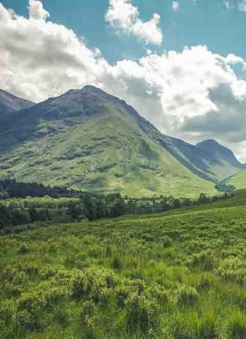 Create image by yourself Using Python Code - Gracy Yadav - Medium