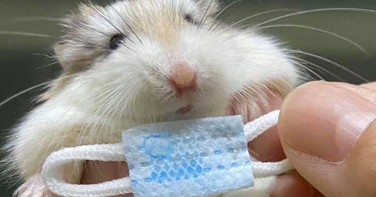 How to write a quantum program in 10 lines of code (for beginners) | by ...