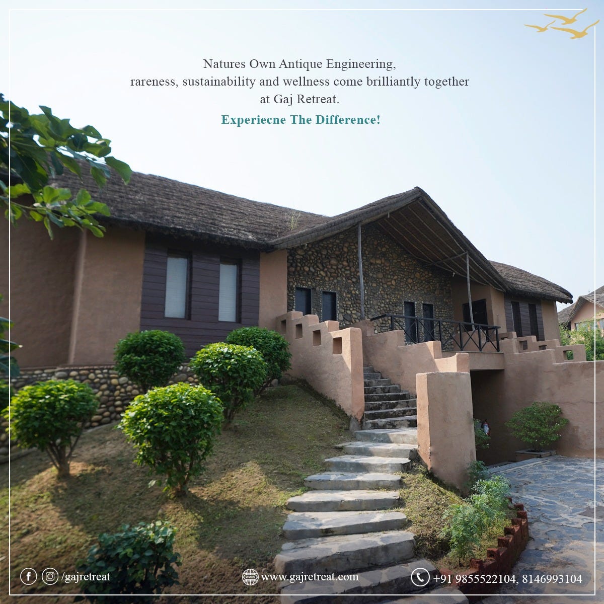 Leisure and indulgence! As the new year begins, immerse yourself in the ...