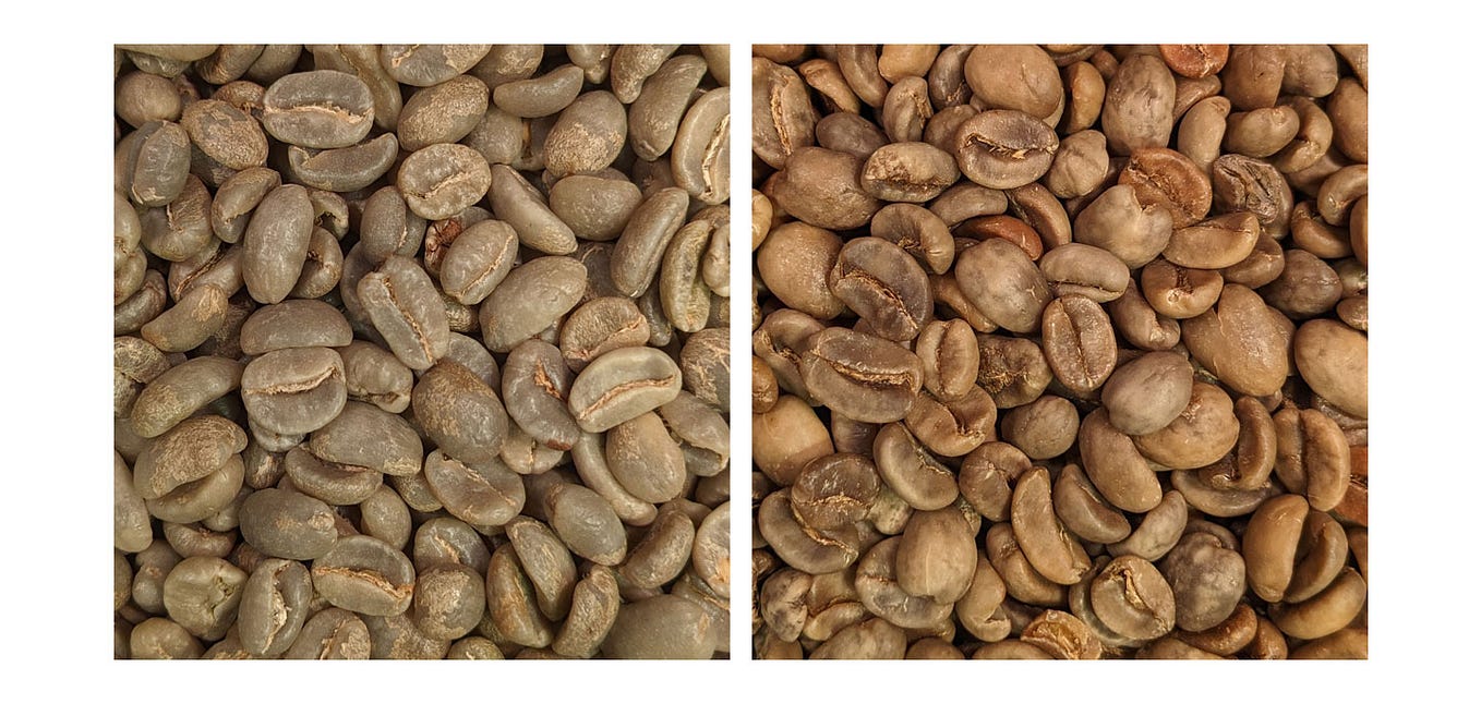 the impact of roasting time and post-harvest processing on ground ...