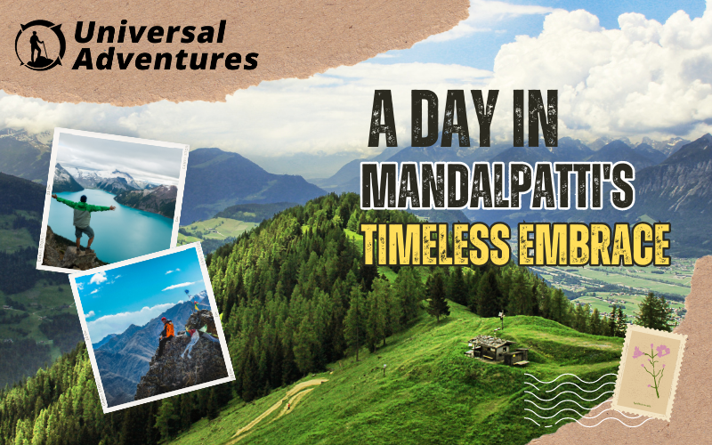 The Charms of Mandalpatti: A Beginner’s Guide to Floral Bliss and ...
