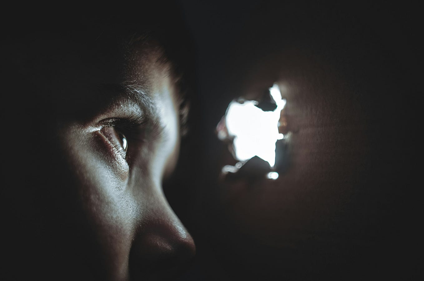 [Part1] Getting to know DarkBERT: A Language Model for the Dark Side of ...