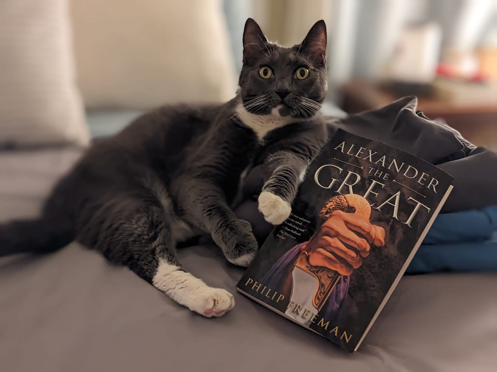 Book Summary- Alexander the Great (Part 3) | by Mark Zoppina | Nov ...