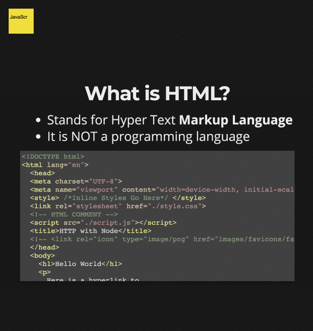 How to build a website with only JavaScript | by Hans McMurdy | JavaScript in Plain English