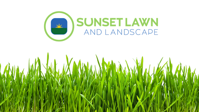How to Get The Most Out of Your Snow Removal Service | by Sunset Lawn ...