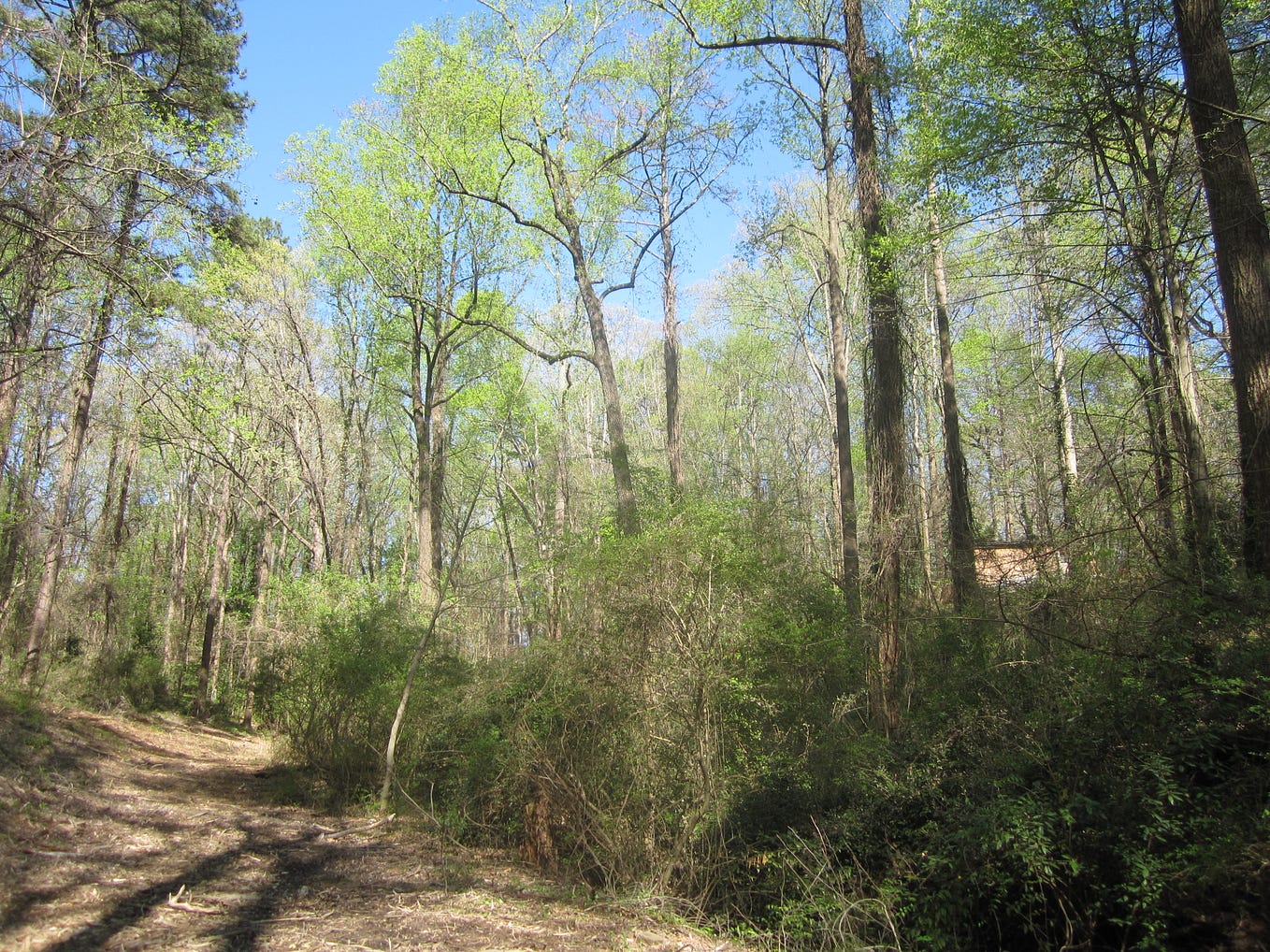 Visible Thinking Routines for Teaching | by Ben Hendry | Medium