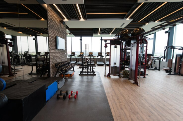 Comprehensive Gym Setup Services in India: Your Path to a Successful ...