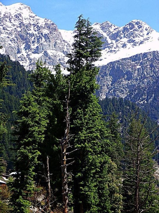 ALL Supra Mission Answers Supra Airdrop | by Somyakant Dash | Medium