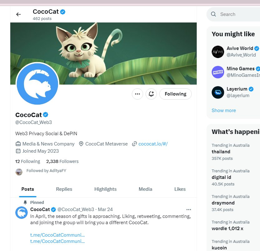 How Cococat is Championing Privacy with Blockchain Technology | by ...