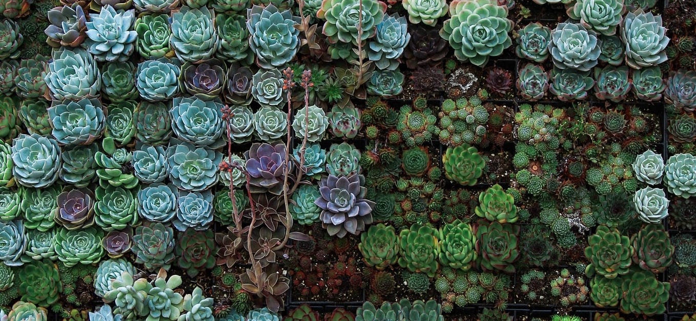 Sharing Data Between Microservices | by Denat Hoxha | Medium