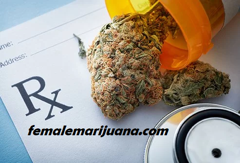 The Pros and Cons of Using Feminizing Spray on Your Cannabis Plants ...