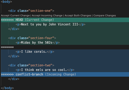 A beginner’s guide to Git Version Control — in terminal | by Julia ...