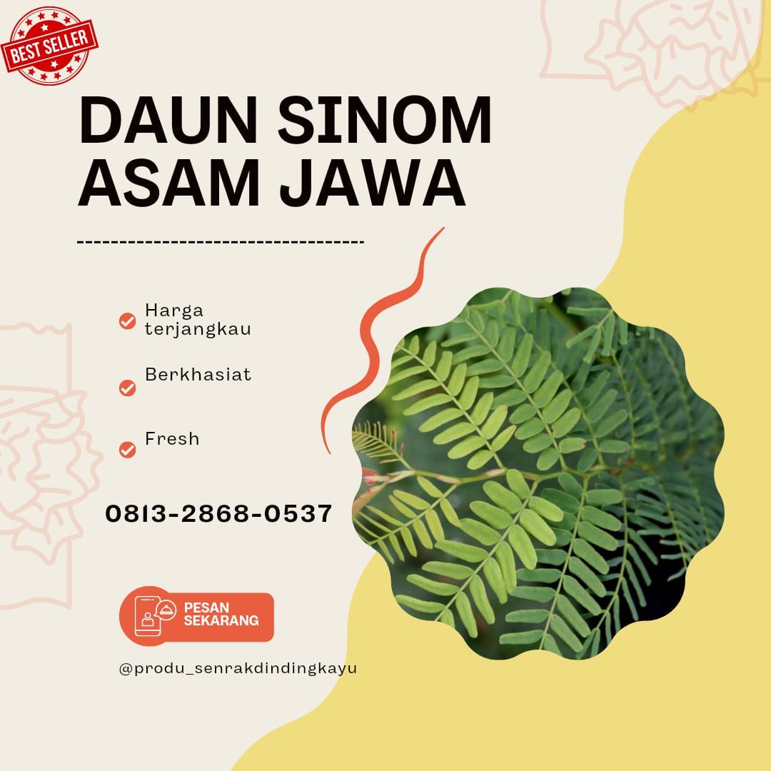 Pusat Budidaya Herbal Daun Brotowali Pohon Antawali Segar Fresh 30 ...