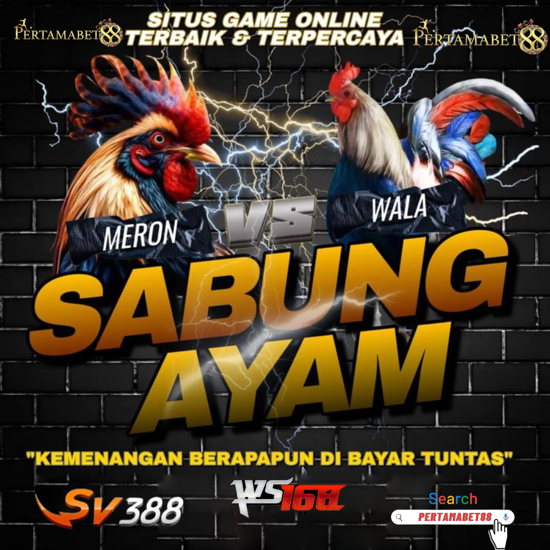 SABUNG AYAM!!!. Bonus Win Streak 6x 100% Berturut-turut… | by PERTAMABET88 | Medium