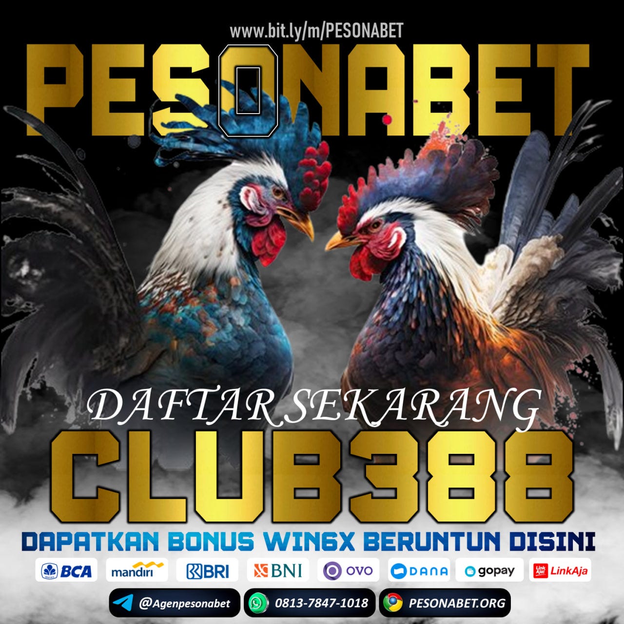 APLIKASI CLUB388. Download Aplikasi Club388 Sabung Ayam… | by PESONABET | Medium