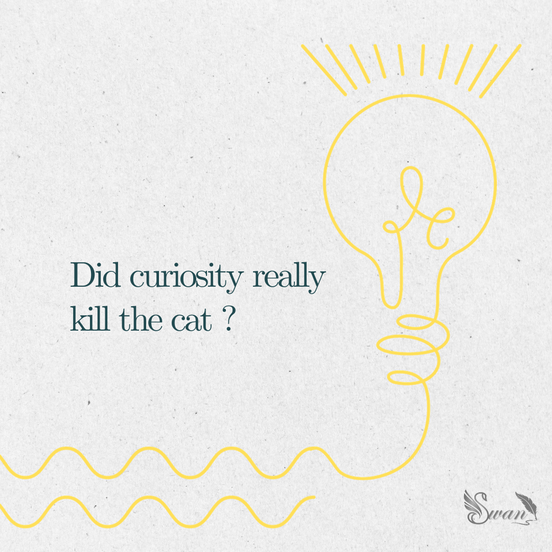 My Accidental Experiments. Story of how I started cooking and… | by ...