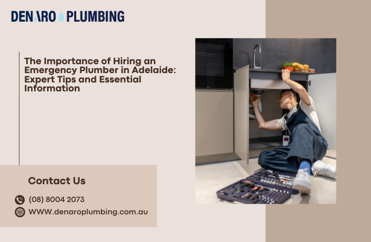 4 Top Qualities and Signs of Professional Plumbers in Adelaide - Denaro ...