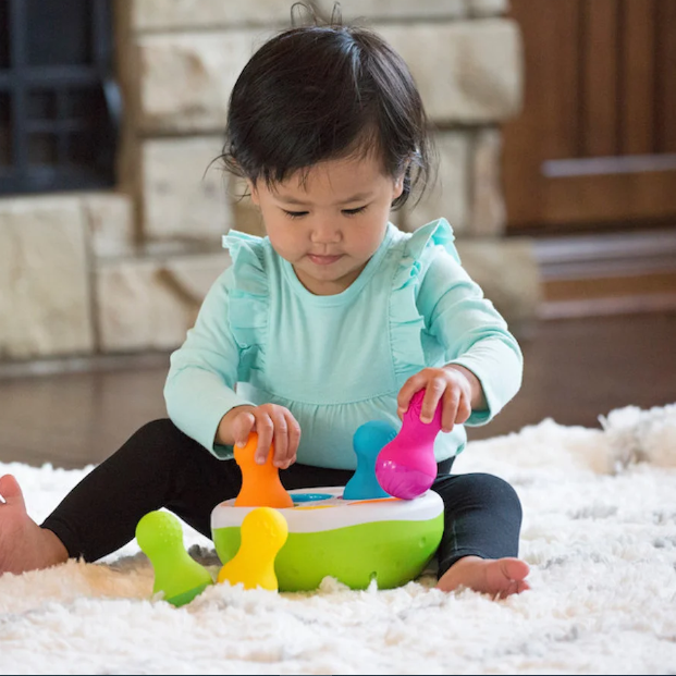 Fat Brain Toys - Curiouskidzz - Medium