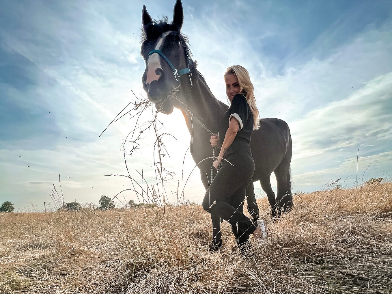 Mann oder Pferd Part 1. Ich muss es jetzt einfach mal… | by WUNDERKIND | Medium