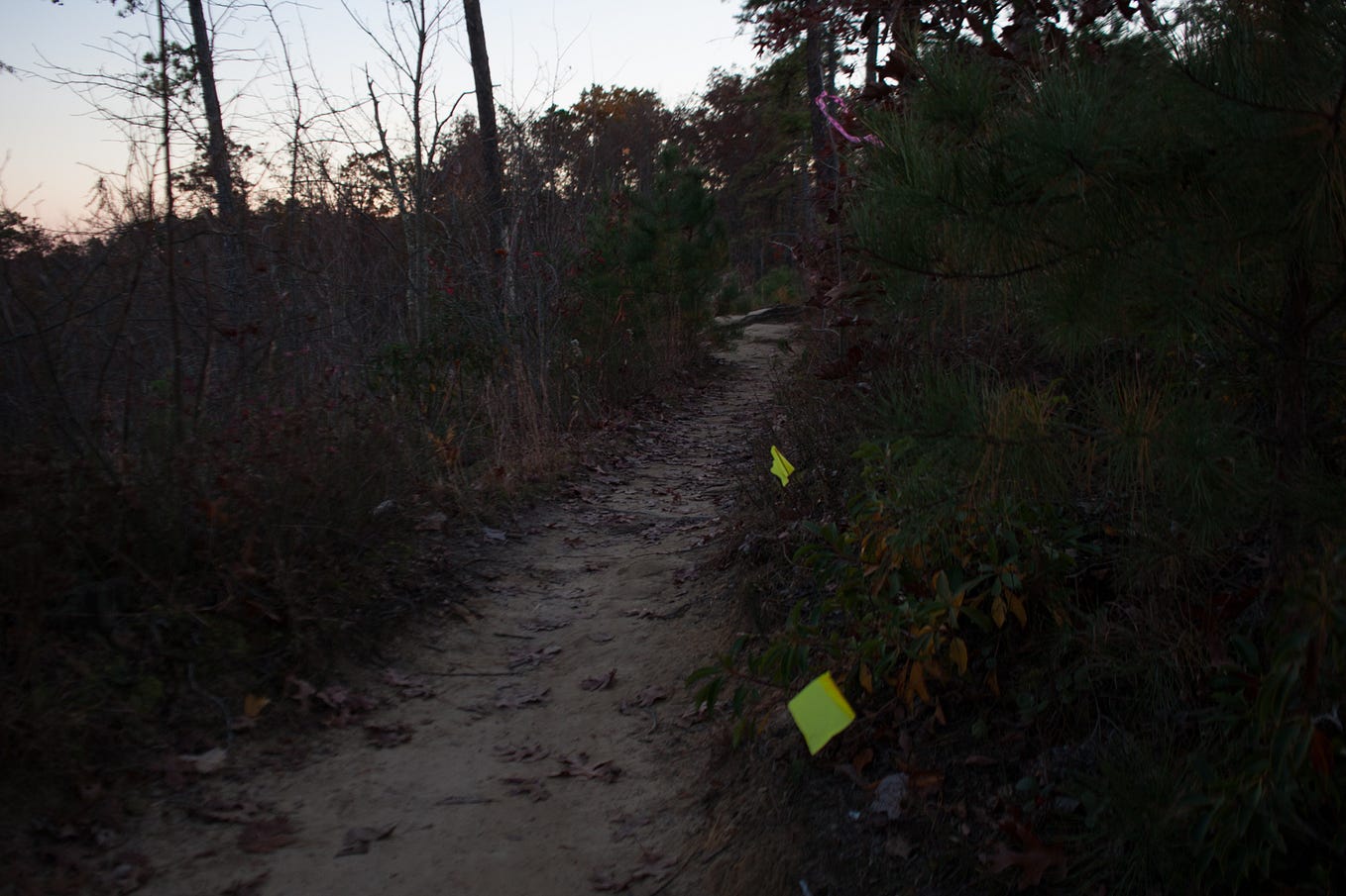 Barkley Fall Classic 2020: A Unique Experience | by Samuel | Medium