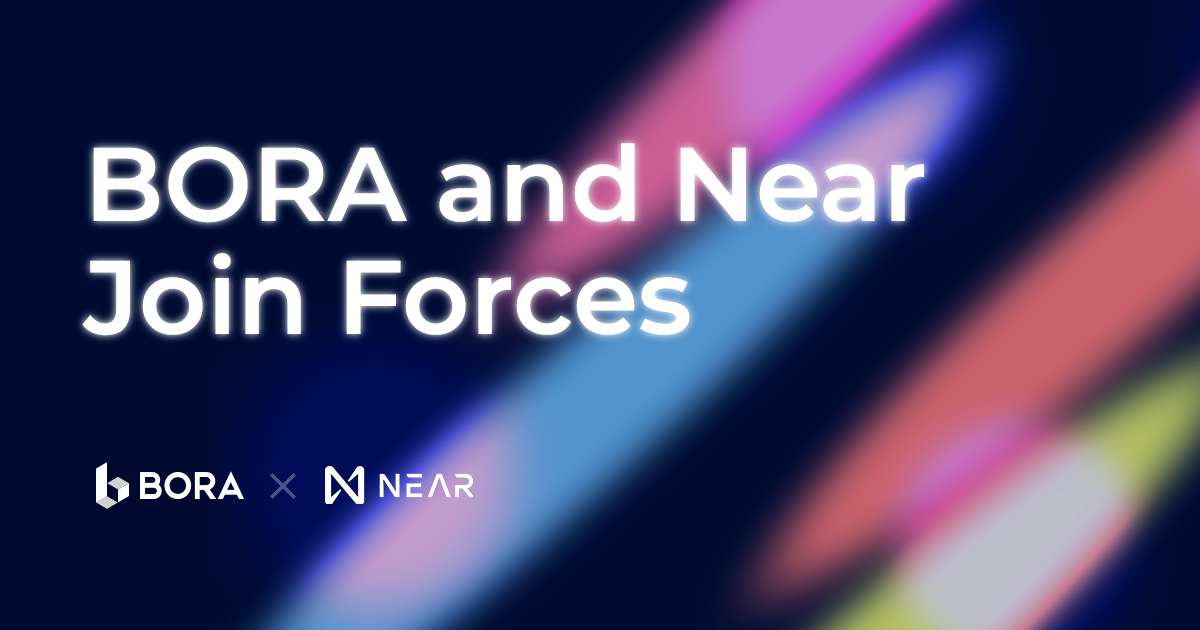 BORA Portal Launched!. The one-stop-shop for BORA. BORA Portal… | by ...