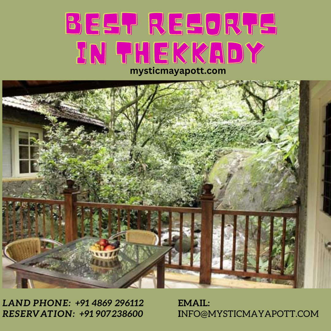 Best Hideout Resorts In Kerala | Mystic Mayapott - Mysticmayapott - Medium