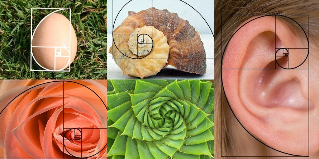 Odoo Configuration and CLI commands | Medium