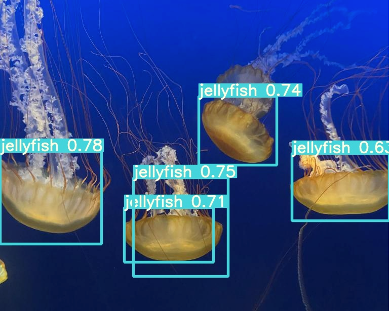 A Guide To Build Your Own Custom Object Detector Using YoloV3 | by Prabhat Kumar Sahu ...