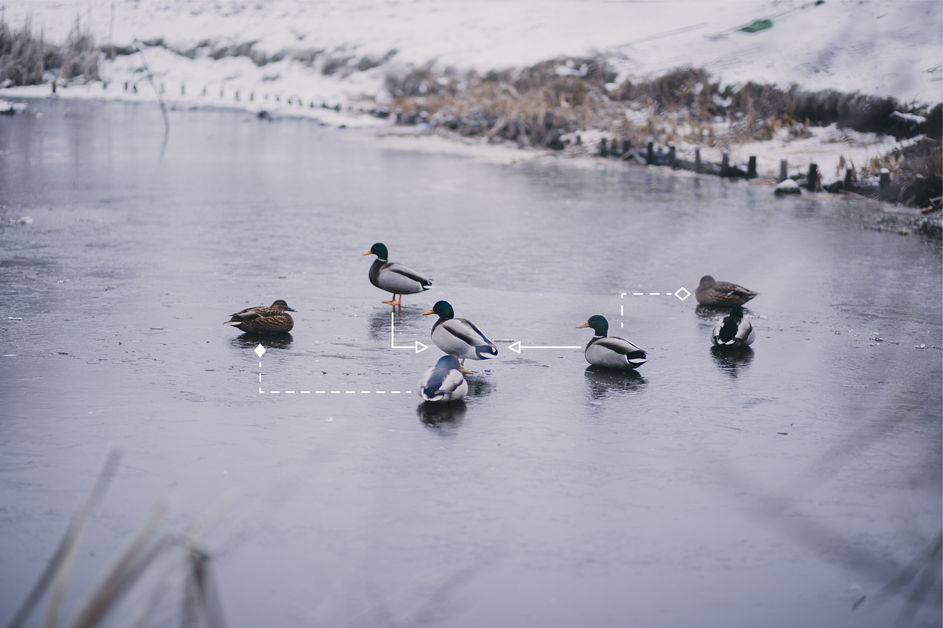 Django ORM Relationships Cheat Sheet | by Goga Patarkatsishvili | HackerNoon.com | Medium