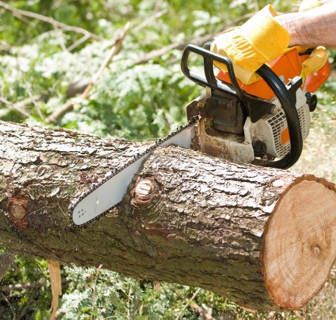 Wausau Tree Service Pros - wausautreeserviceprosus - Medium