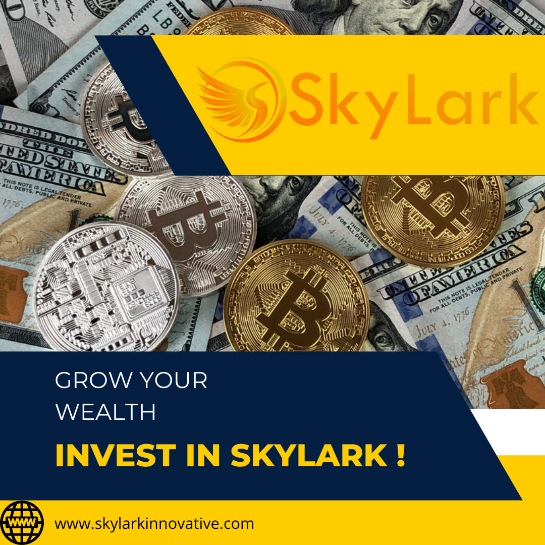 Invest In SKYLARK Now! - Skylark - Medium