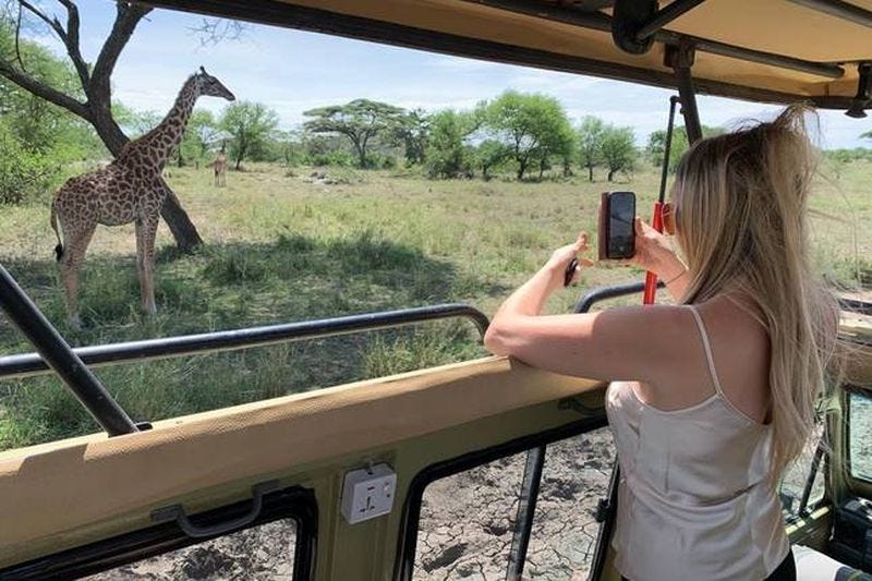 How to Choose the Best Wildlife Safari Tour Package Tanzania | by African Travel Tour | Medium