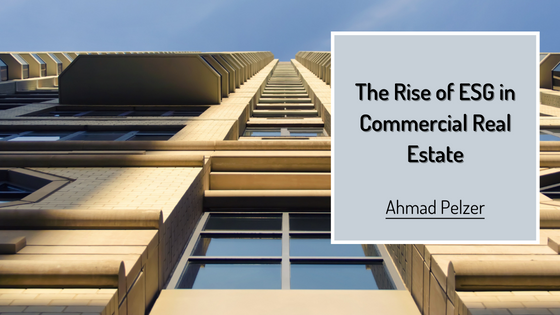 Brilliantly written and very insightful. Thanks for this! - Ahmad ...