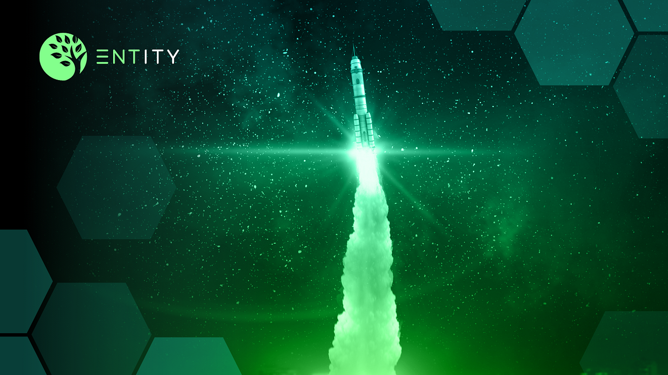 Welcome to the Entity Space Race. The Entity Space Race website is ...