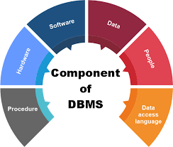 Types of keys in DBMS. Road map | by Chamodi Piyumika | Medium