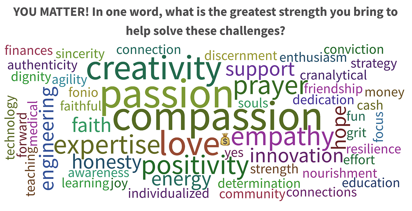 Four main Categories of an NGO. Non-Governmental Organizations (NGOs ...