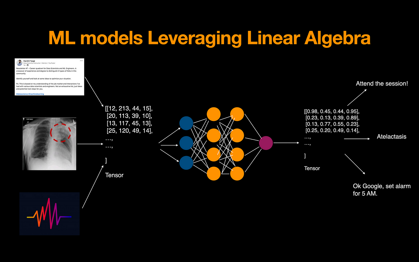 How to Create a Graph Neural Network in Python | by Tiago Toledo Jr. | Towards Data Science