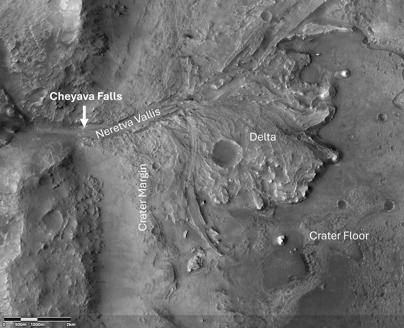 Studying Life Before the Cambrian Explosion | by Andrea Corpolongo, Ph ...