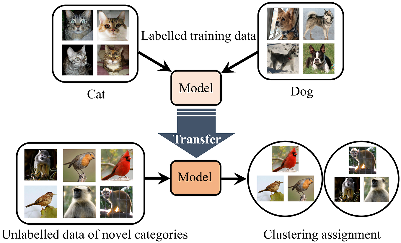 Deep One-Class Classification. A viable solution to the high demand ...