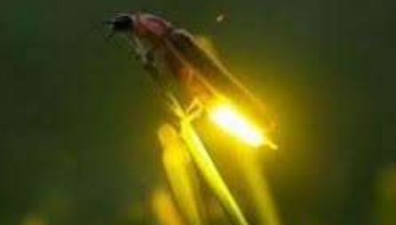 Java Data Types. Data types are divided into two groups: | by Taner ...