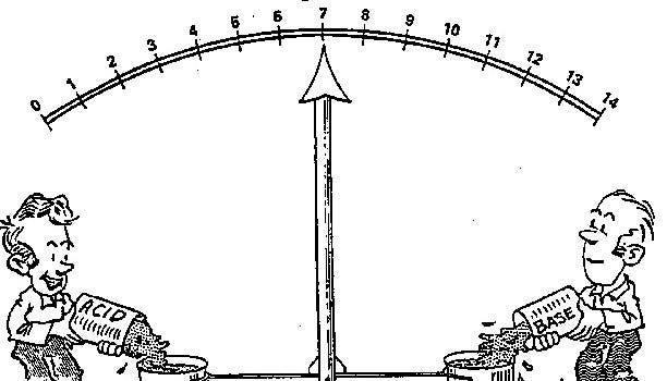 JWT Authentication with Spring Boot 3 and Java 17 | by Berktorun | Medium