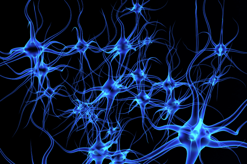 Multivariate Time Series Forecasting And Analysis Of The Us